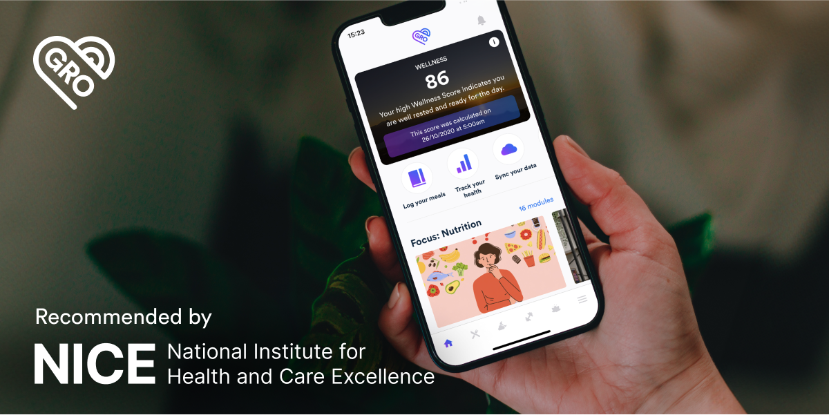 Gro Health W8Buddy tool wins HSJ Digital Award - The Diabetes Times